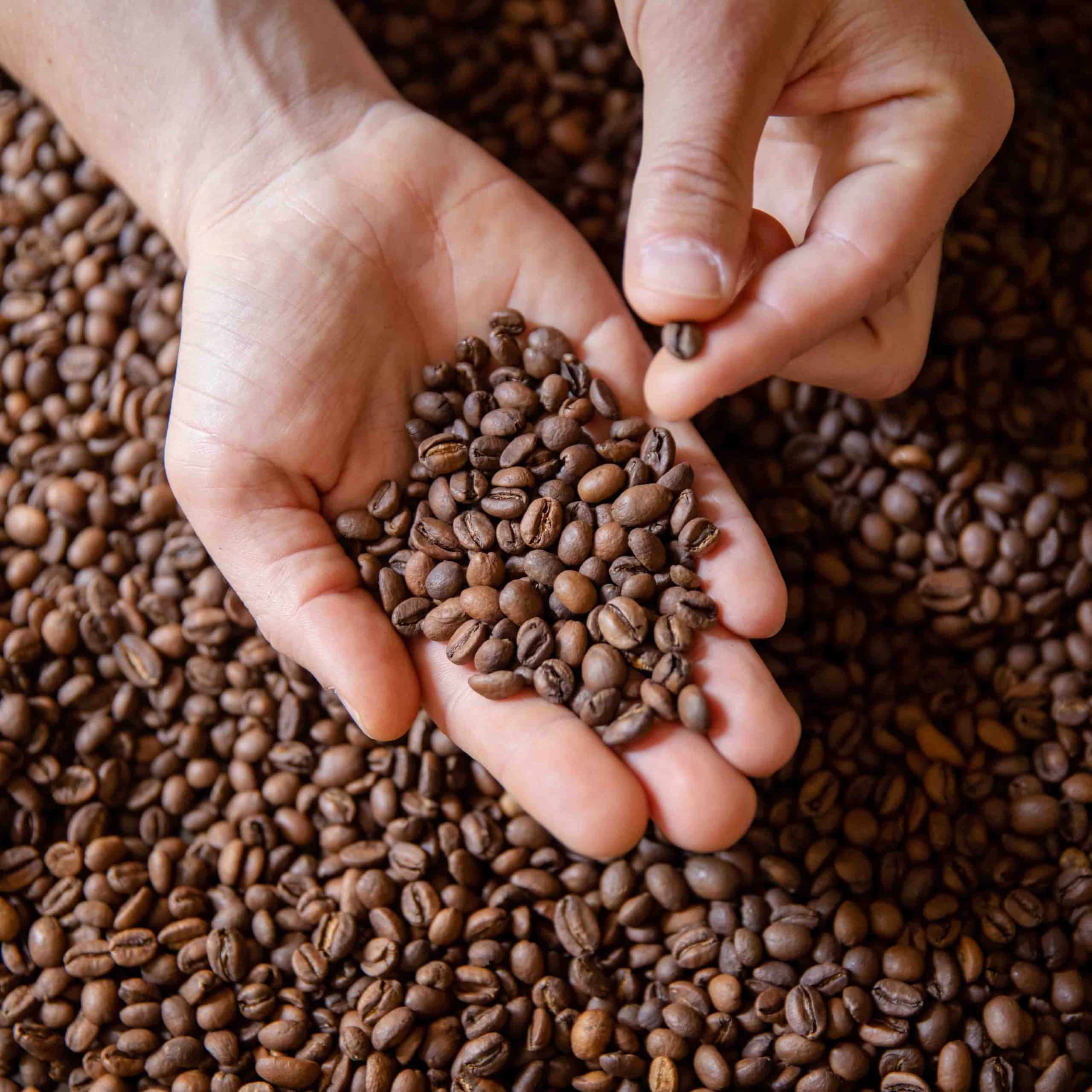 Machine à café en entreprise : une pause-café de qualité